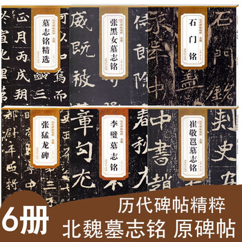 北魏墓志铭碑帖 张黑女 崔敬邕 李璧墓志铭 张猛龙碑 墓志铭精选 石门铭6本 简体旁注安徽美术出版社