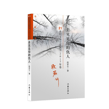 21世纪文学之星丛书：去见见你的仇人