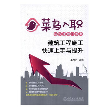 建筑工程施工快速上手与提升 菜鸟入职与快速提升系列 王力宇 中国电力出版社