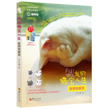 我的猫宝人生