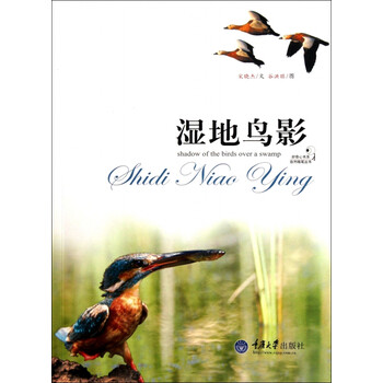 湿地鸟影/自然随笔丛书/好奇心书系