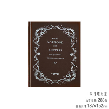 创意大本营人生解答之书记事笔记本子加厚正版答案之书日记本礼品 10672-C-日曜火系(解答)