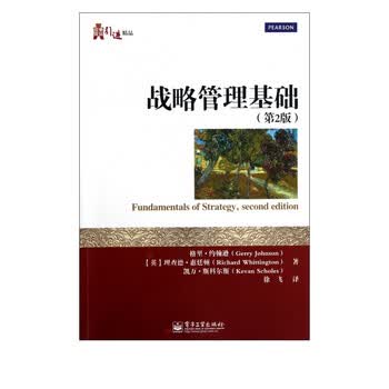战略管理基础(第2版)
