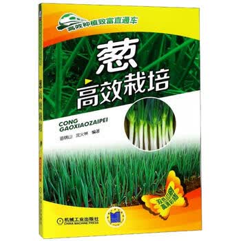 葱高效栽培