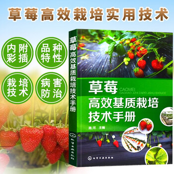 草莓高效基质栽培技术手册 草莓育苗栽培管理栽培新技术种植书籍草莓种殖技术 草莓常见病虫害防治书籍