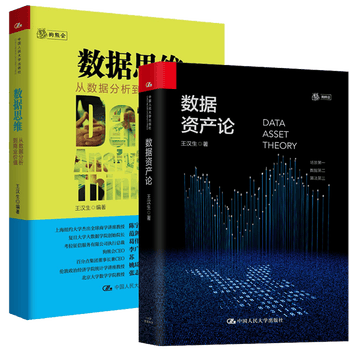 王汉生两册：数据资产论+数据思维：从数据分析到商业价值 管理类书籍 商务实务