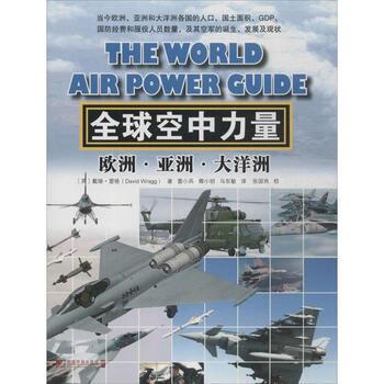 全球空中力量 