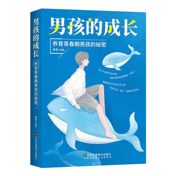 家教理论书籍 男孩的成长