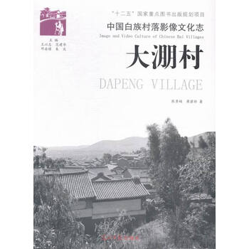大淜村-中国白族村落影像文化志 历史 书籍