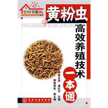 正版农村书屋系列--黄粉虫高效养殖技术一本通 黄正团，潘红平 主编 化学工业出版社书籍