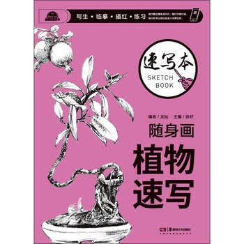 随身画 速写本 植物速写