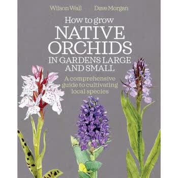 How to Grow Native Orchids in Gardens Large ...