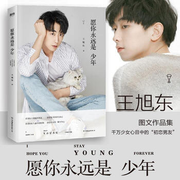 愿你永远是少年/王旭东王旭东