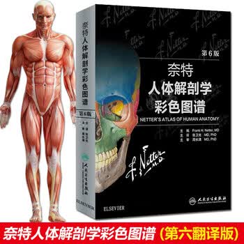 奈特人体解剖学彩色图谱 第6版 人民卫生出版社