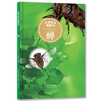 动物美绘翻翻书:蝉