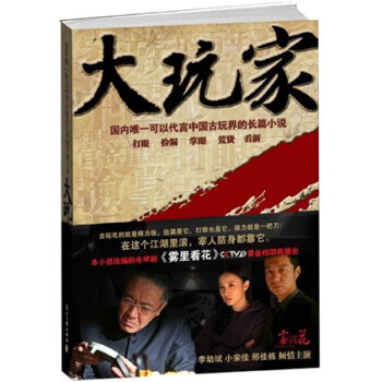 大玩家,高大勇,黄永辉,花山文艺出版社