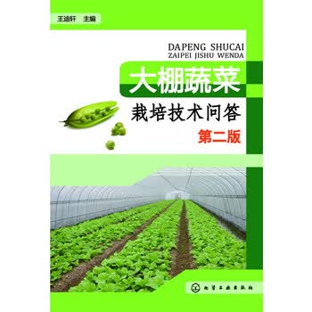大棚蔬菜栽培技术问答（第二版）王迪轩 主编