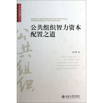 公共组织智力资本配置之道/公共管理论丛