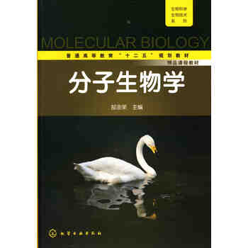 分子生物学 郜金荣 主编 生物科学生物技术系列