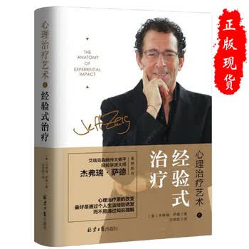 心理治疗艺术之经验式治疗技巧及启发式教导 心理学书籍