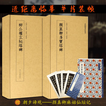 近距离临摹碑帖叢刊2册 柳公权玄秘塔碑/颜真卿多宝塔碑 楷书毛笔书法字帖 简体旁注译文注释原碑帖高清