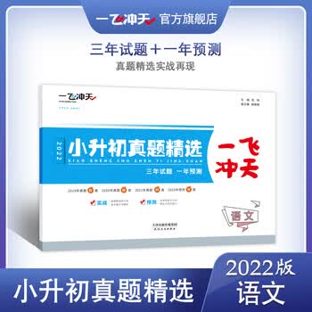 天津版2022一飞冲天小升初真题精选语文三年各区县历年真题试卷一年预测试卷小学升学考试