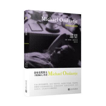 翁达杰作品系列：遥望（精装）