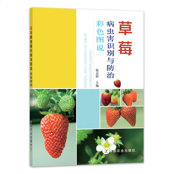 2019新书 草莓病虫害识别与防治彩色图说 张志恒 大棚草莓栽培技术新手入门教程 种植管理浇水施肥病