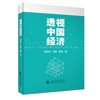 透视中国经济
