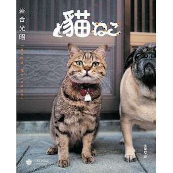 现货台版 岩合光昭 猫岩合光昭宠物猫图鉴猫的喂养方式饲养攻略知识大百科驯养入门教程宠物