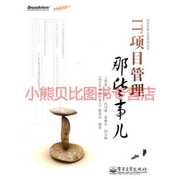IT项目管理那些事儿 王保强  电子工业出版社
