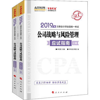 公司战略与风险管理应试指南 2019(2册)