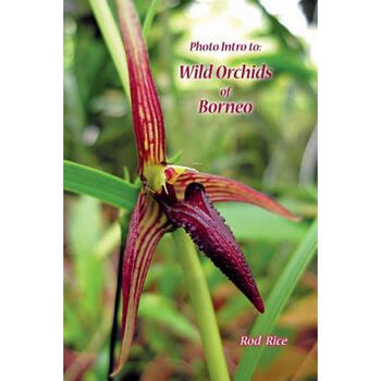 Photo Intro to: Wild Orchids of Borneo