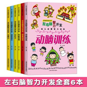 逻辑思维训练左右脑全脑开发儿思维训练2-3-4-5-6岁幼儿开发智力的书早教启蒙专注力游戏 左右脑智力开发6本