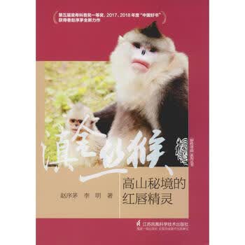 滇金丝猴 高山秘境的红唇精灵