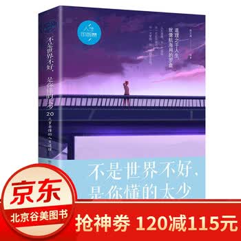 不是世界不好 是你懂得太少 20几岁要懂得的人生道理 单本正版 正能量成功学励志书籍