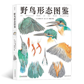 野鸟形态图鉴 科普读物 (日)赤勘兵卫著 浙江教育出版社 9787553679624