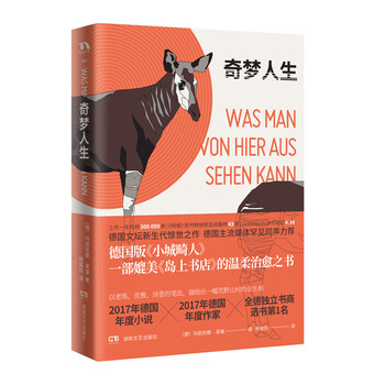奇梦人生