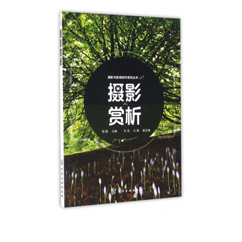 摄影赏析/摄影与影视制作系列丛书