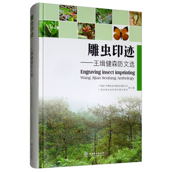 雕虫印迹：王缉健森防文选