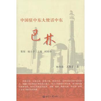 中国驻中东大使话中东巴林