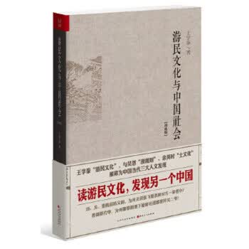 ）游民文化与中国社会增修版 王学泰著 山西人民出版社