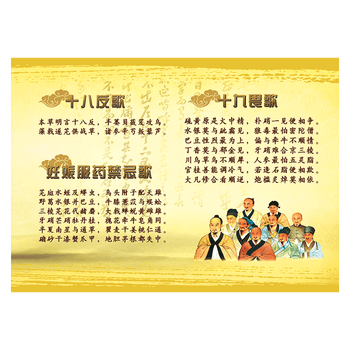 中药配伍禁忌挂图中医文化宣传海报十九畏十八反宣传画WSA WSA50 十九畏十八反 120*80厘米 覆膜防水贴纸