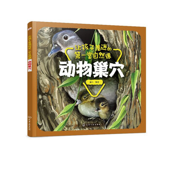 让孩子着迷的第一堂自然课——动物巢穴