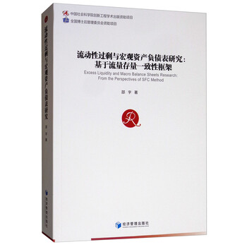 流动性过剩与宏观资产负债表研究：基于流量存量一致性框架