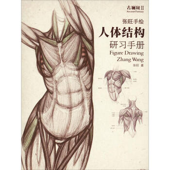 张旺手绘人体结构研习手册
