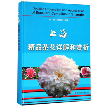 上海精品茶花详解和赏析
