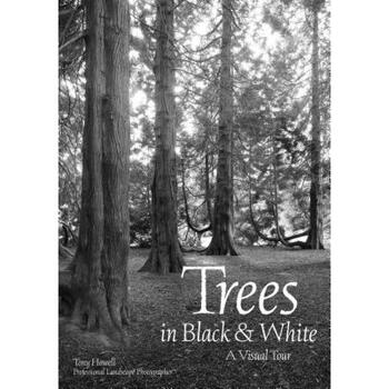 Trees in Black & White: A Visual Tour