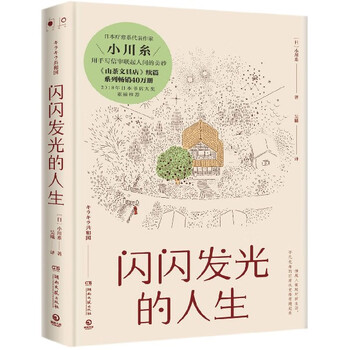 闪闪发光的人生(精)
