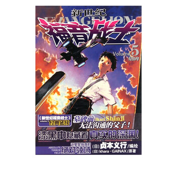 新世纪福音战士(5墓碑)